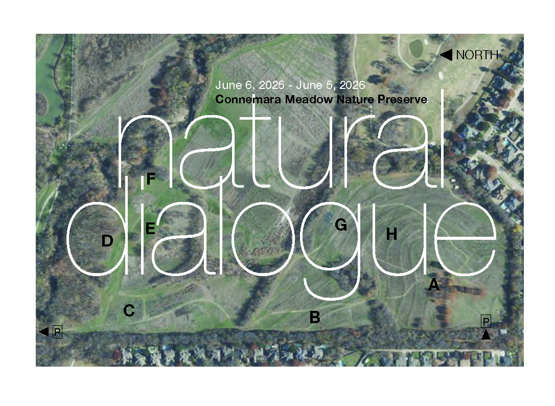 Natural Dialogue Sculpture Exhibition 2025-2026 | Connemara Conservancy